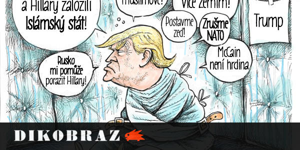 Vtip od Dave Granlund č. 3936 | Americké volby 2016