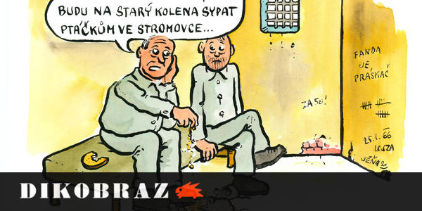 Vtip od Jan Severa č. 11016